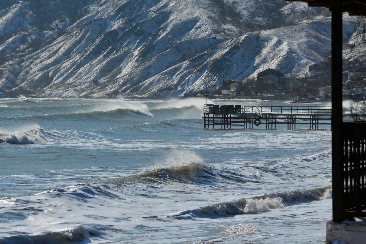 Gnawing Occupiers’ “Volunteers” around Aggressor’s Headquarters ...