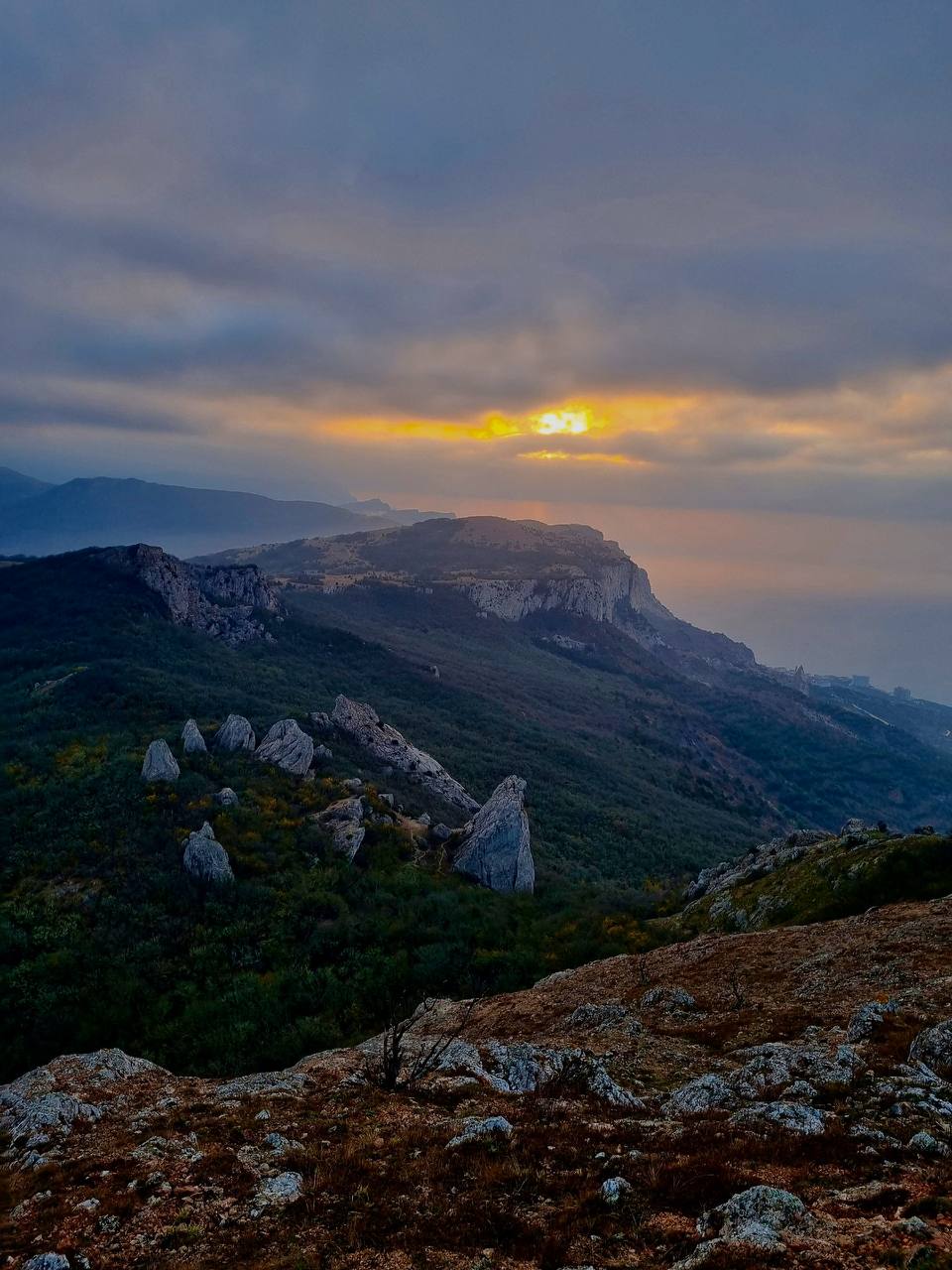 Criminal “Crimean Cossacks” Announced “Territorial Defense ...